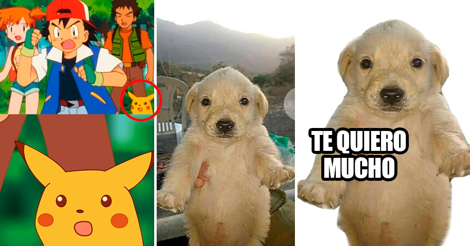 Estas son las imágenes originales que dieron vida a algunos memes
