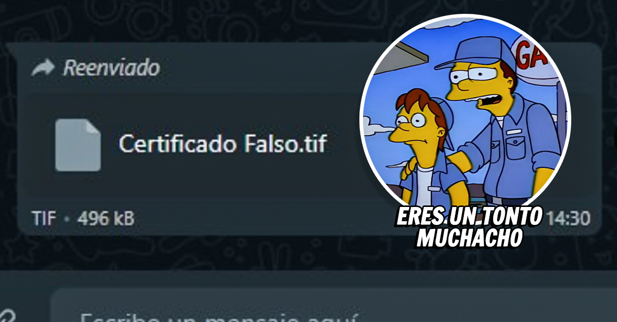 Manda un certificado falso a su jefe y solito se descubre