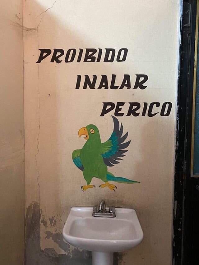 Graciosas imágenes que demuestran lo raro que puede ser México