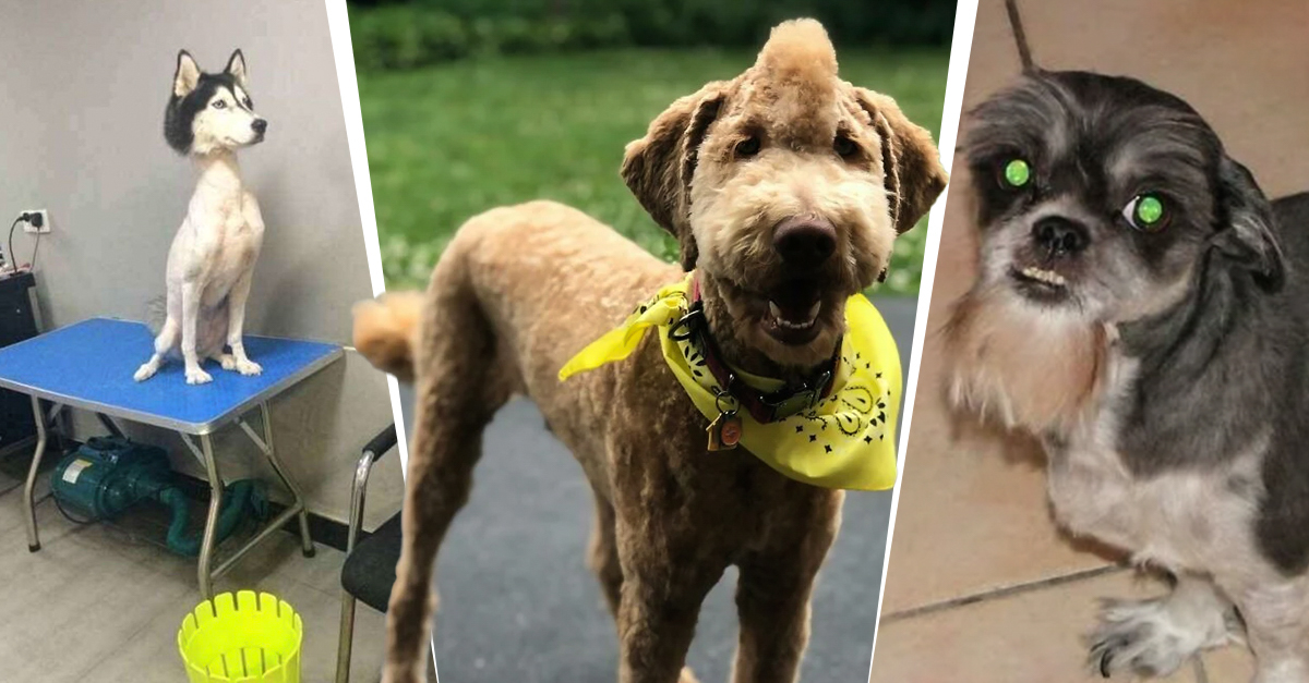 La Guía Del Varón – Page 39