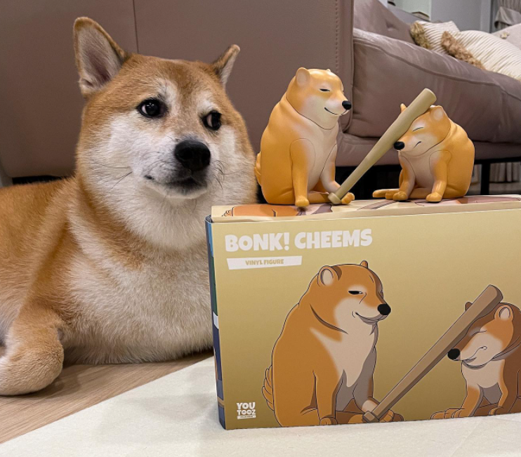 Cheems está enfermo y todos rezamos para que recupere su salud