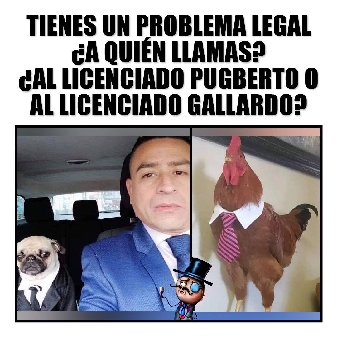 Mejores abogados del internet; te sacarán una risa y de la cárcel