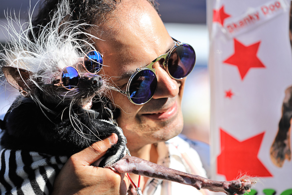 Mr. Happy Face ganó un concurso como El perro más feo del mundo