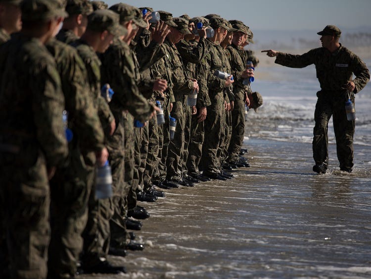Seals De La Marina De Estados Unidos