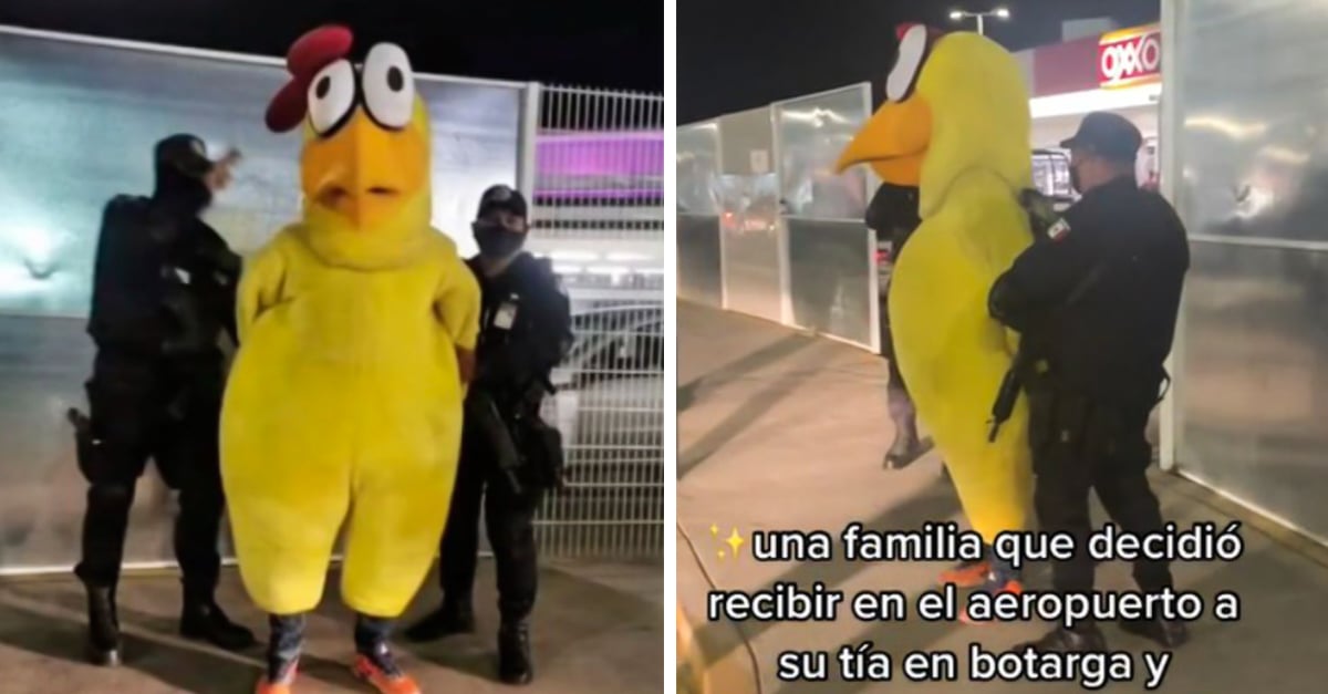 Botarga de pollo en aeropuerto es detenida por la policía