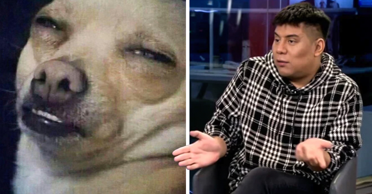 Influencer dijo que dejó de ser vegano porque lo mordió un perro