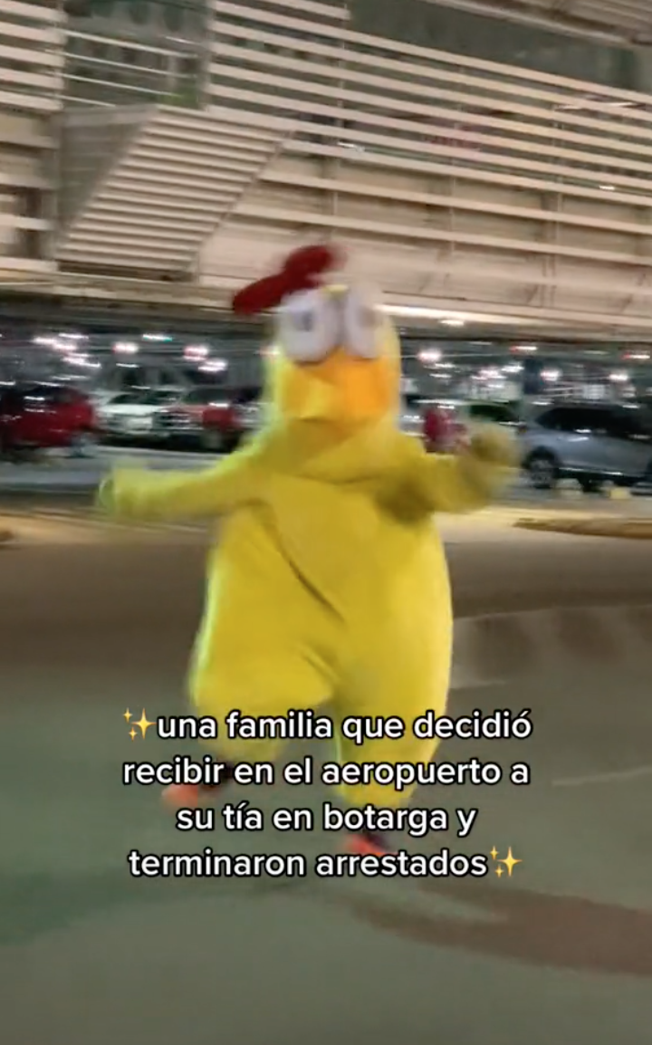 Botarga de pollo en aeropuerto es detenida por la policía