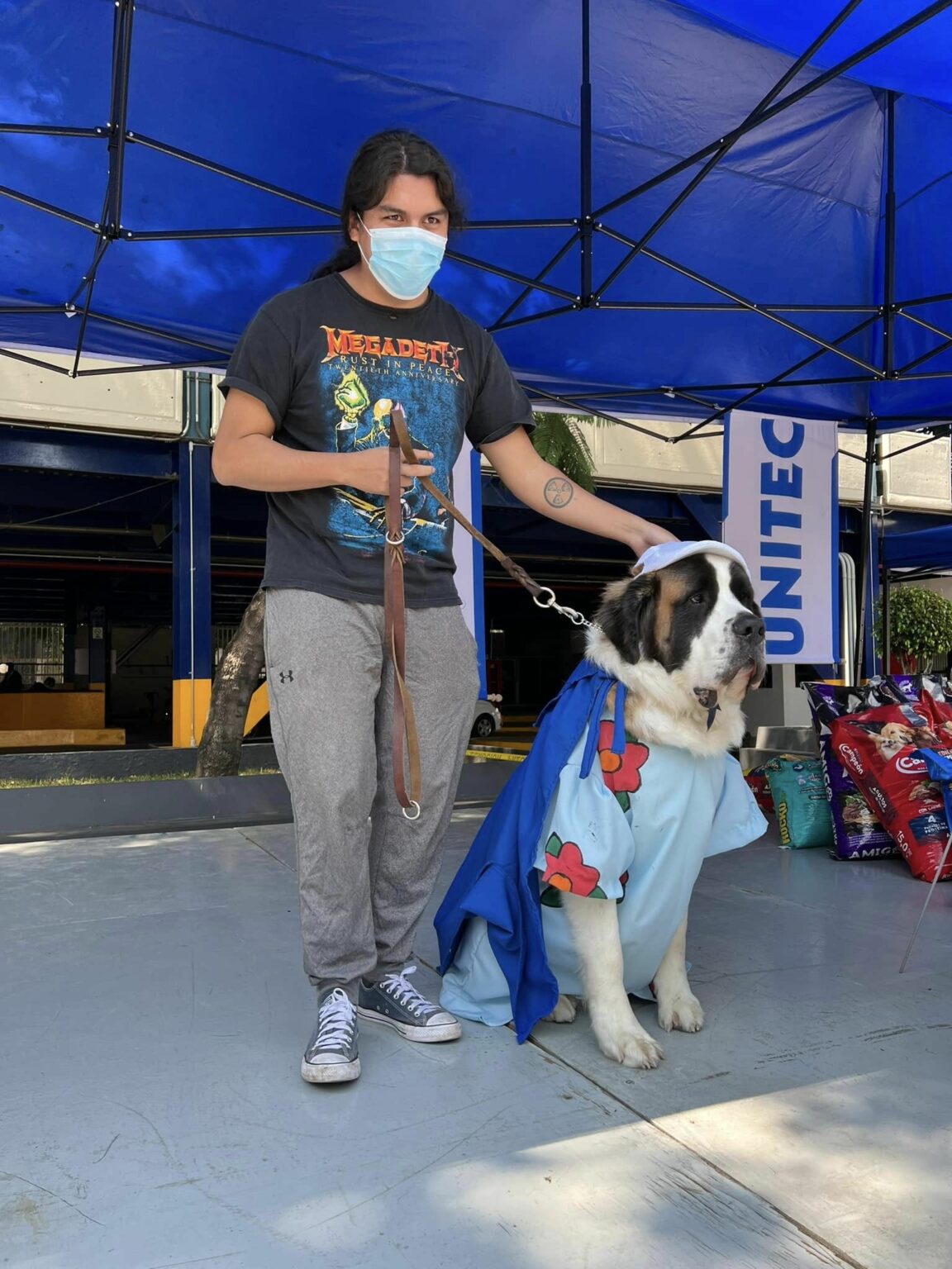 Perro San Bernardo gana concurso con disfraz de Homero Simpson