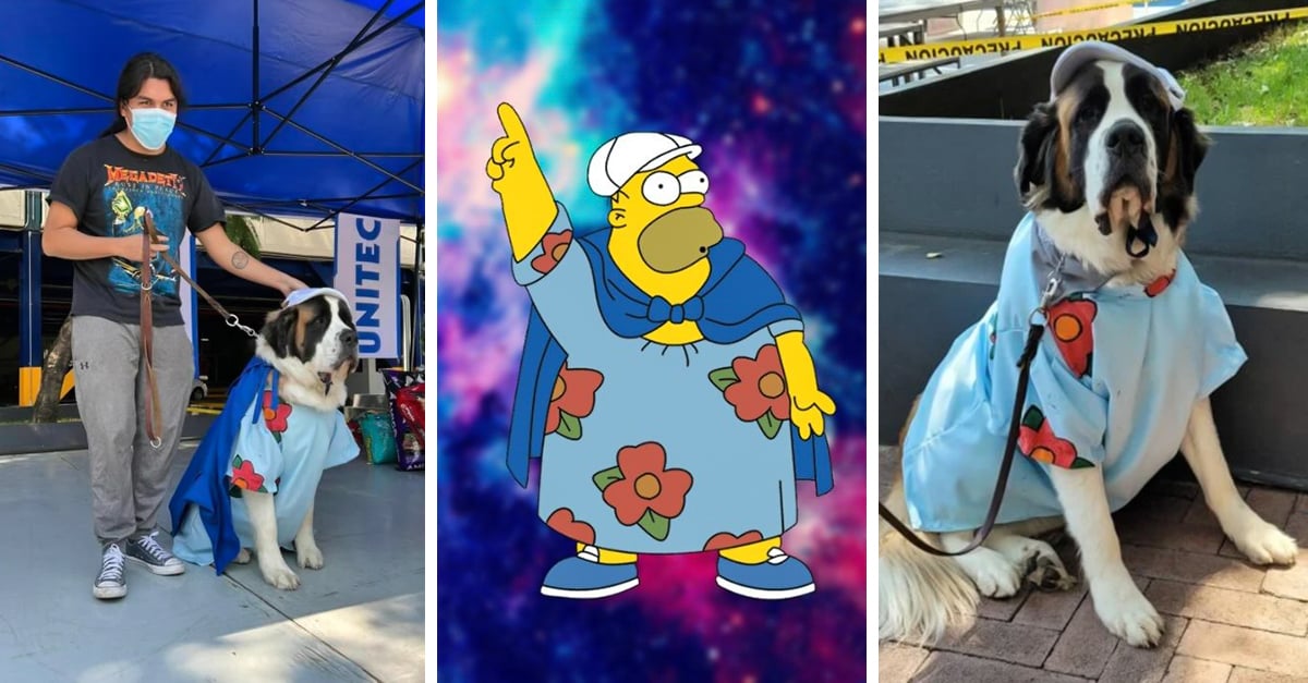 Perro San Bernardo gana concurso con disfraz de Homero Simpson