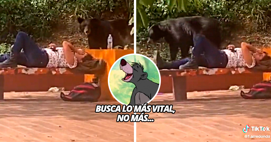 Oso Ignora A Una Alumna De La Uanl Que Se Tapó Los Ojos