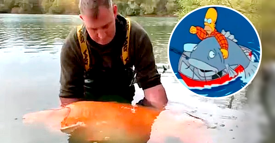 Pescador británico captura a un pez dorado gigante