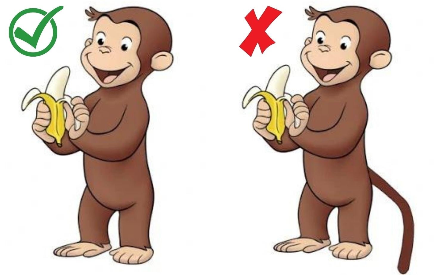 10 Ejemplos del efecto Mandela que te pondrán a pensar