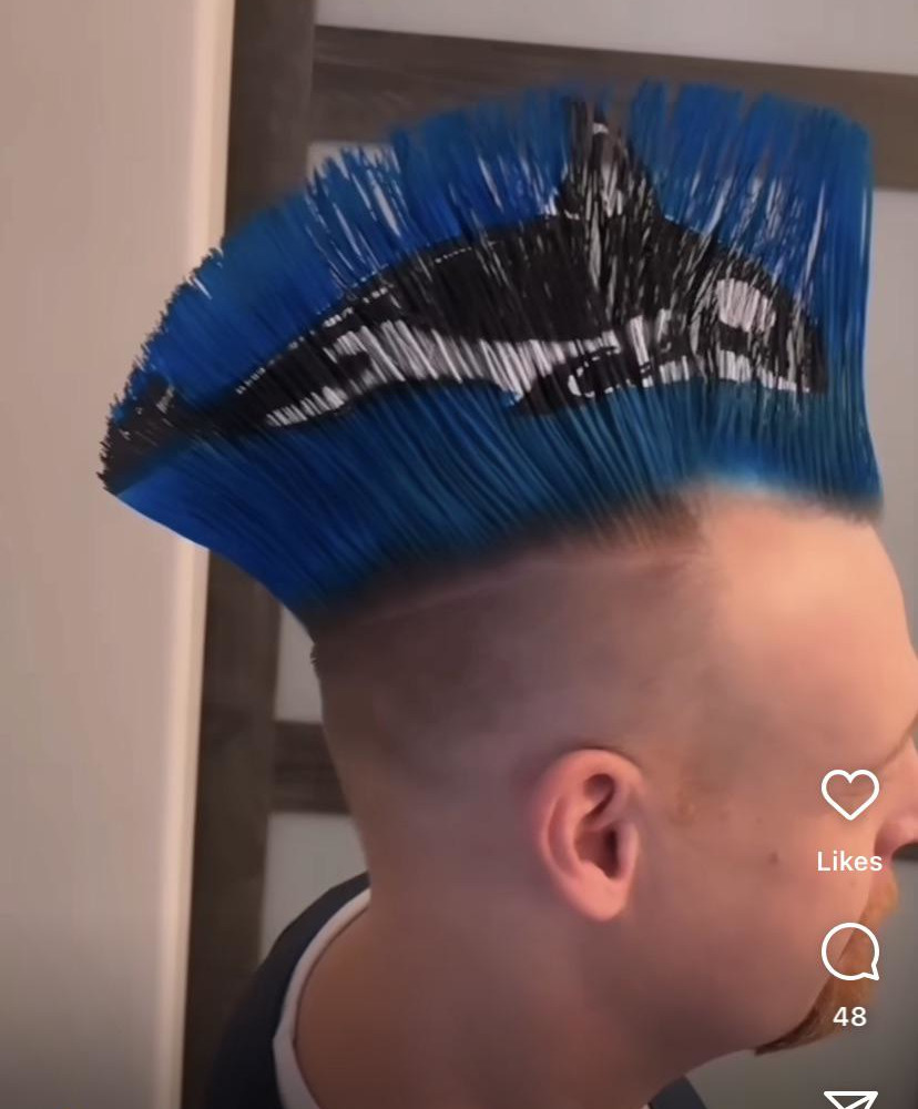 15 Cortes de cabello tan lamentables como graciosos