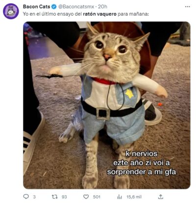 Los mejores 10 memes del Ratón Vaquero por el 10 de mayo