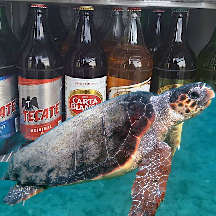 La caguama la inefable cerveza de los viernes nació así