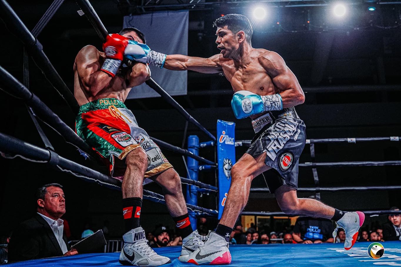 Aficionado irrumpe en el ring y se agarró con el boxeador