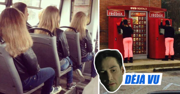 21 Perritos con peluca, lo que necesitas para sonreír